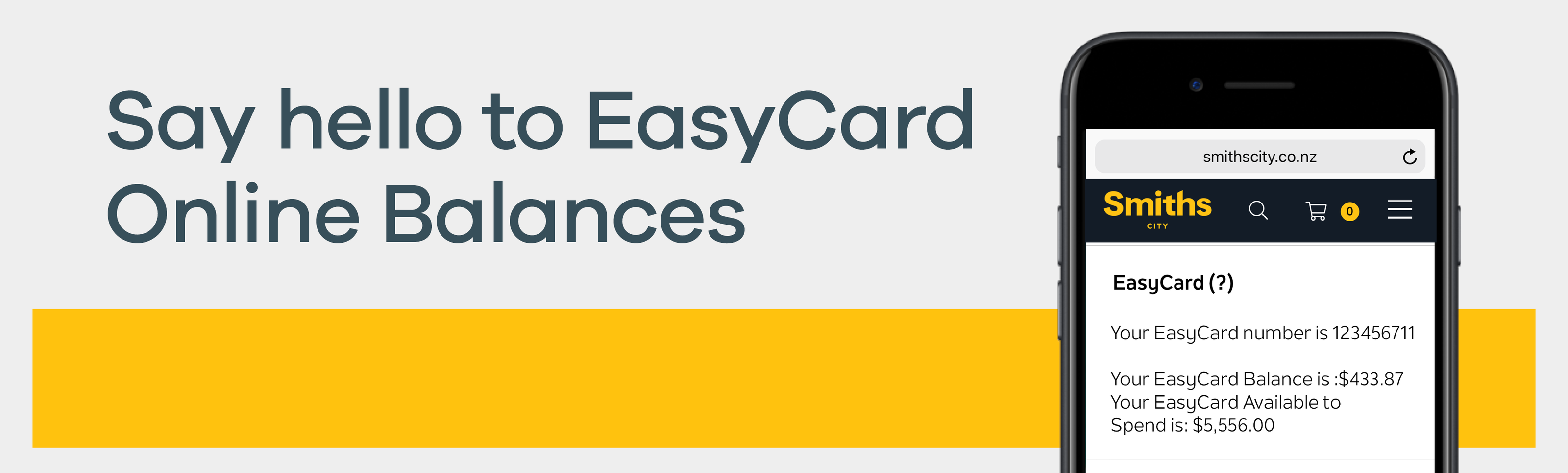 EasyCard Online Balances
